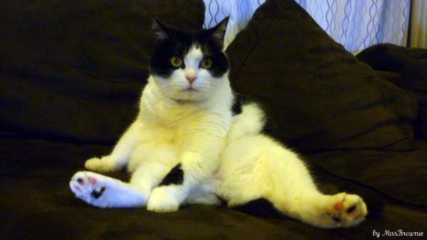 Même les Champions peuvent avoir un Surnom Ridicule... - Mes Doudoux et ...