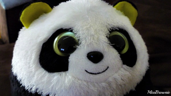 Raton laveur ou Panda Roux ? | Mes Doudoux et Compagnie: Blog de maman